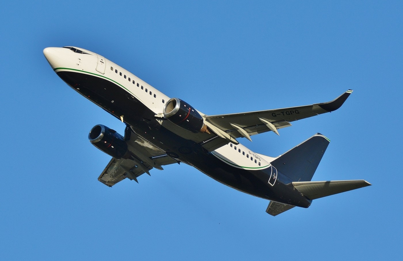 G-TGPG Boeing 737-300 | Virtual Hangar