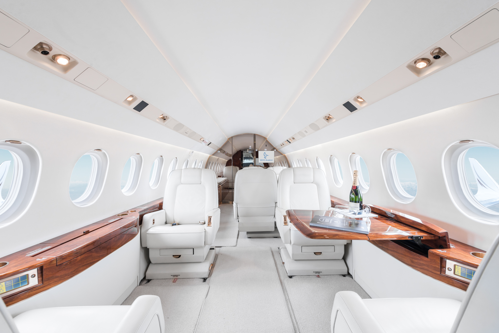 OE-HMR Falcon 2000LX | Virtual Hangar